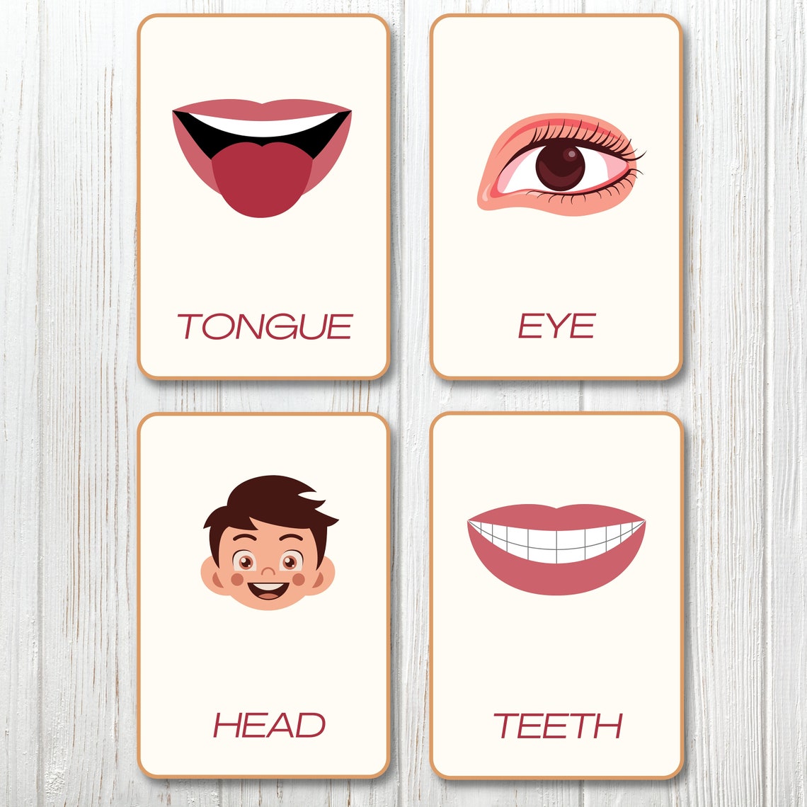 Body Pasts Nomenclature Cards Flashcards Montessori Cards - Etsy