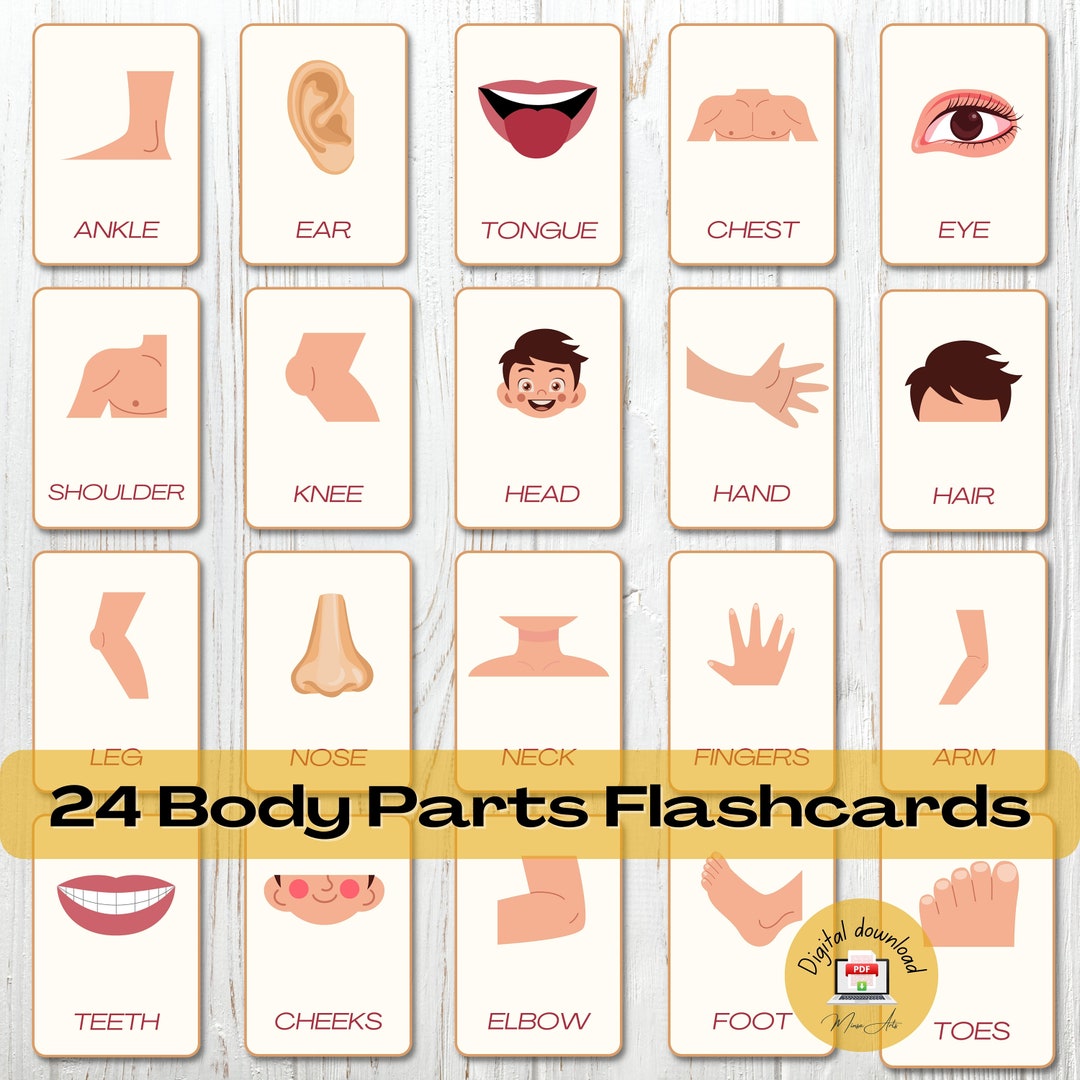 Body Pasts Nomenclature Cards Flashcards, Montessori Cards, Toddler ...