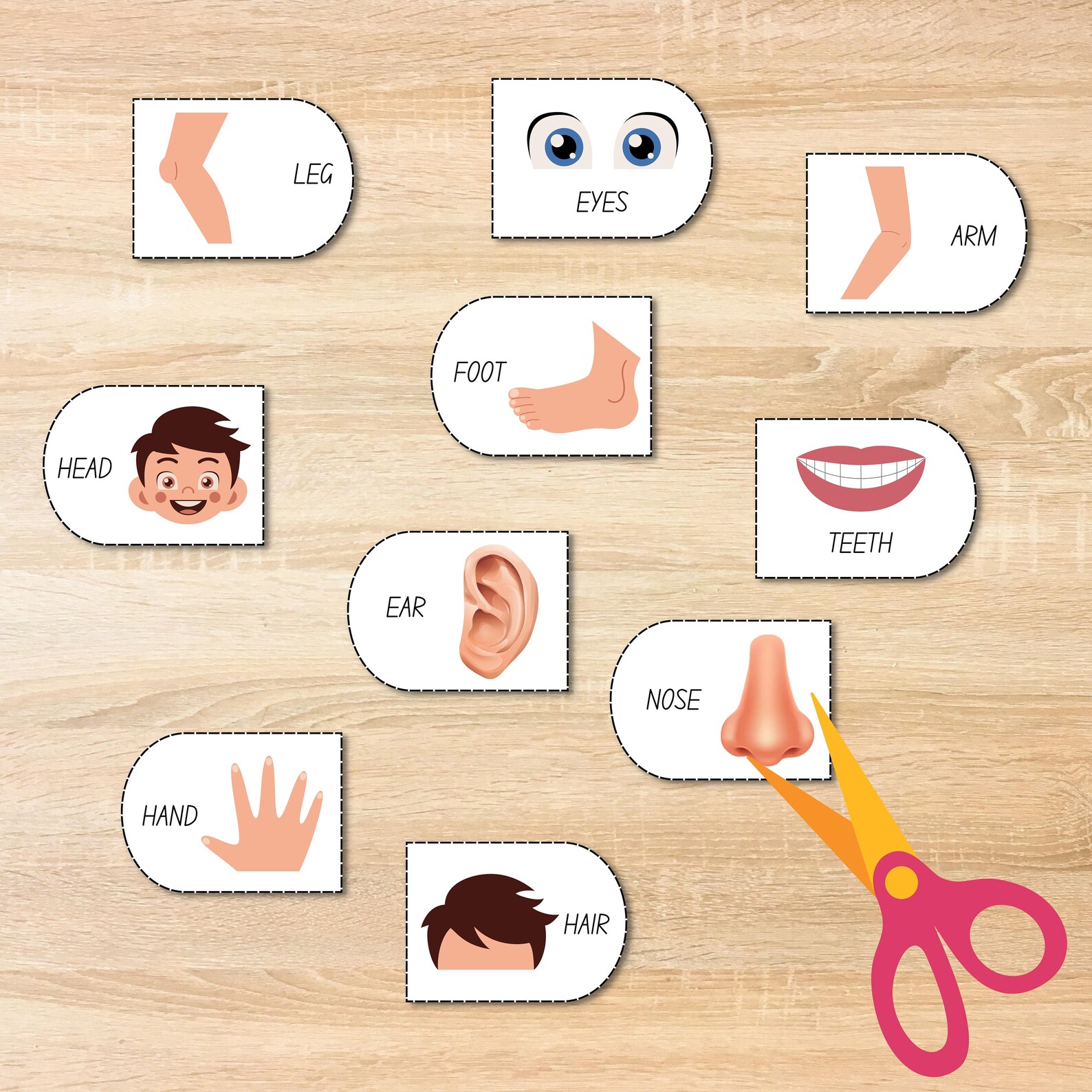 Body Parts Matching Activity Toddler Activities Preschool - Etsy