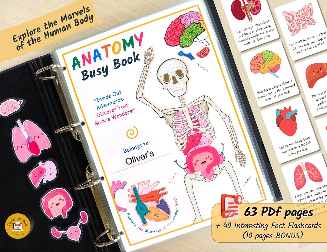 Anatomy Busy Book for Kids: Human Body Learning (printable PDF) - Etsy