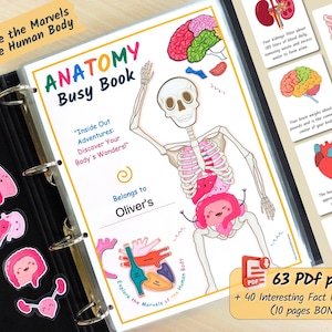 PRINTABLE Interactive Anatomy Busy Book for Kids| Unlock the Secrets of ...