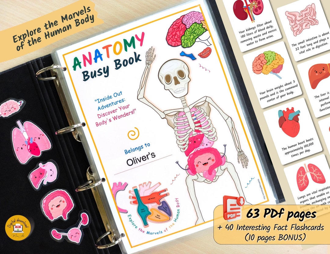 Human Anatomy Busy Book PRINTABLE Human Body Worksheets Preschool ...