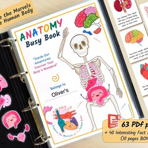 Human Anatomy Busy Book PRINTABLE Human Body Worksheets Preschool ...