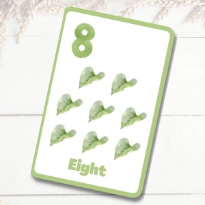 Watercolor 1-20 Numbers Flashcards Preschool Math Homeschool Counting ...