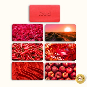 Color Matching Cards for Toddler Learning & Teaching Colors Preschool ...