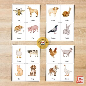 Farm Animal Watercolor Flashcards Nomenclature PRINTABLE Text Editable ...