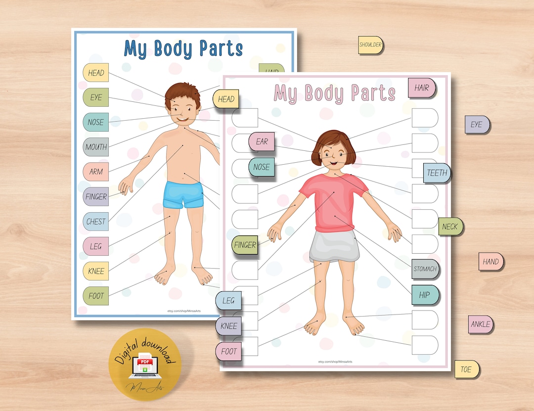 Body Parts Activity for Toddler Preschool Printable Homeschool ...