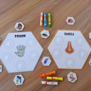 Five Senses Sorting Activity, Busy Bags for Kids, Matching Activity ...