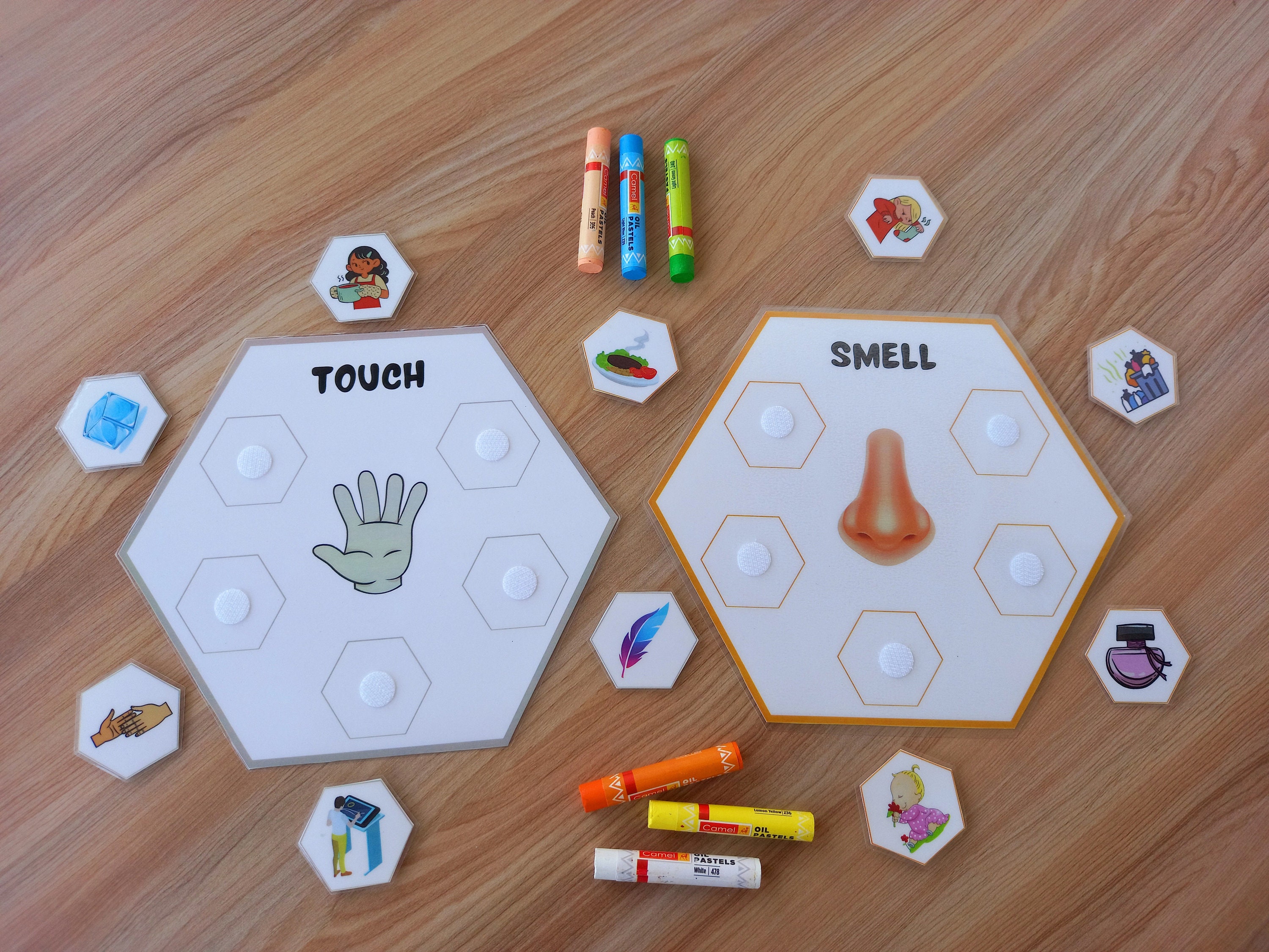 Five Senses Sorting Activity Busy Bags for Kids Matching - Etsy