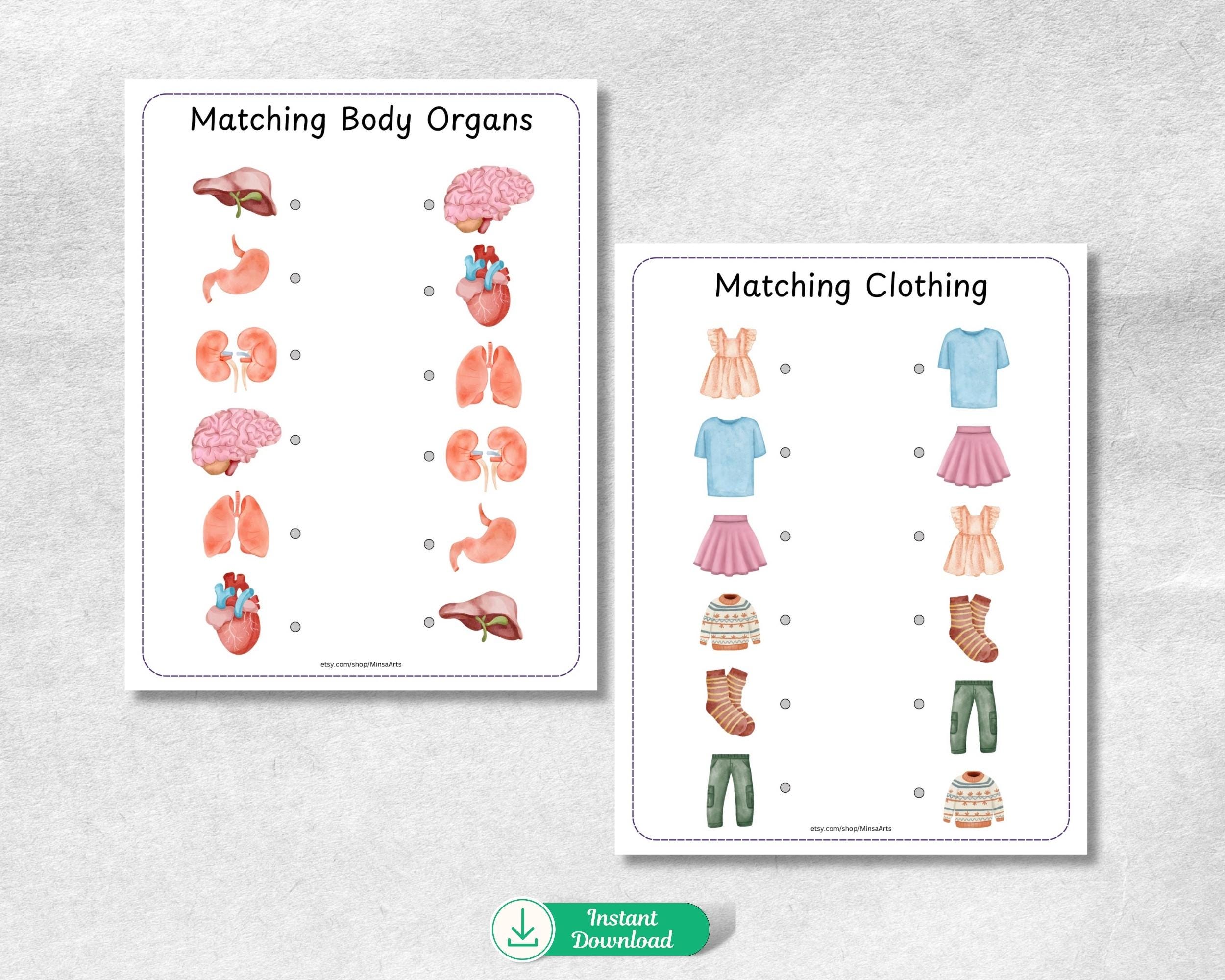Engaging Printable Matching Worksheets for Preschool Kindergarten Fun ...