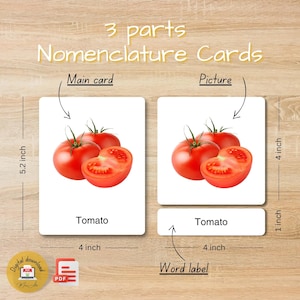 48 Vegetable Flashcards Real Picture Nomenclature PRINTABLE Text ...