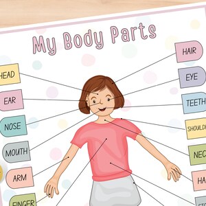 Body Parts Activity for Toddler Preschool Printable Homeschool ...
