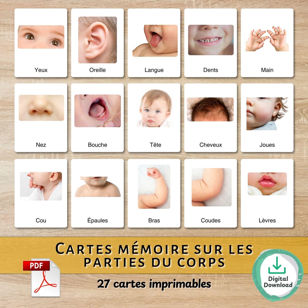 Montessori Body Parts Nomenclature Cards With Real Photos (printable ...