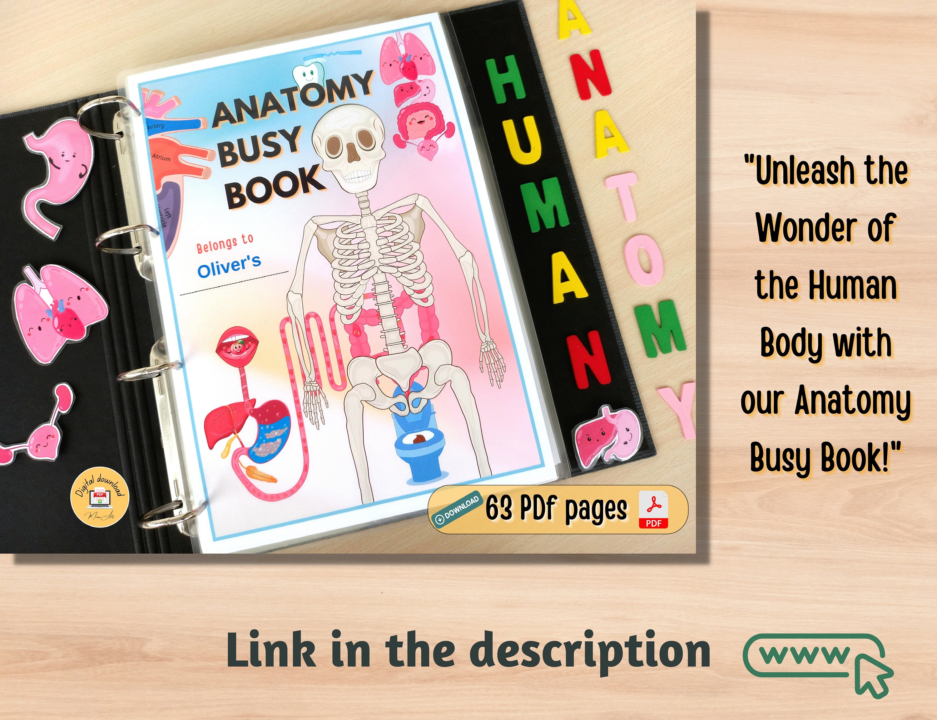 Explore the Human Brain Anatomy A PRINTABLE Activity Pack for Kids ...