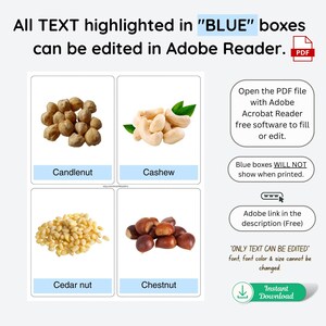 Nuts Flashcards for Kids Real Picture Nomenclature PRINTABLE Text ...