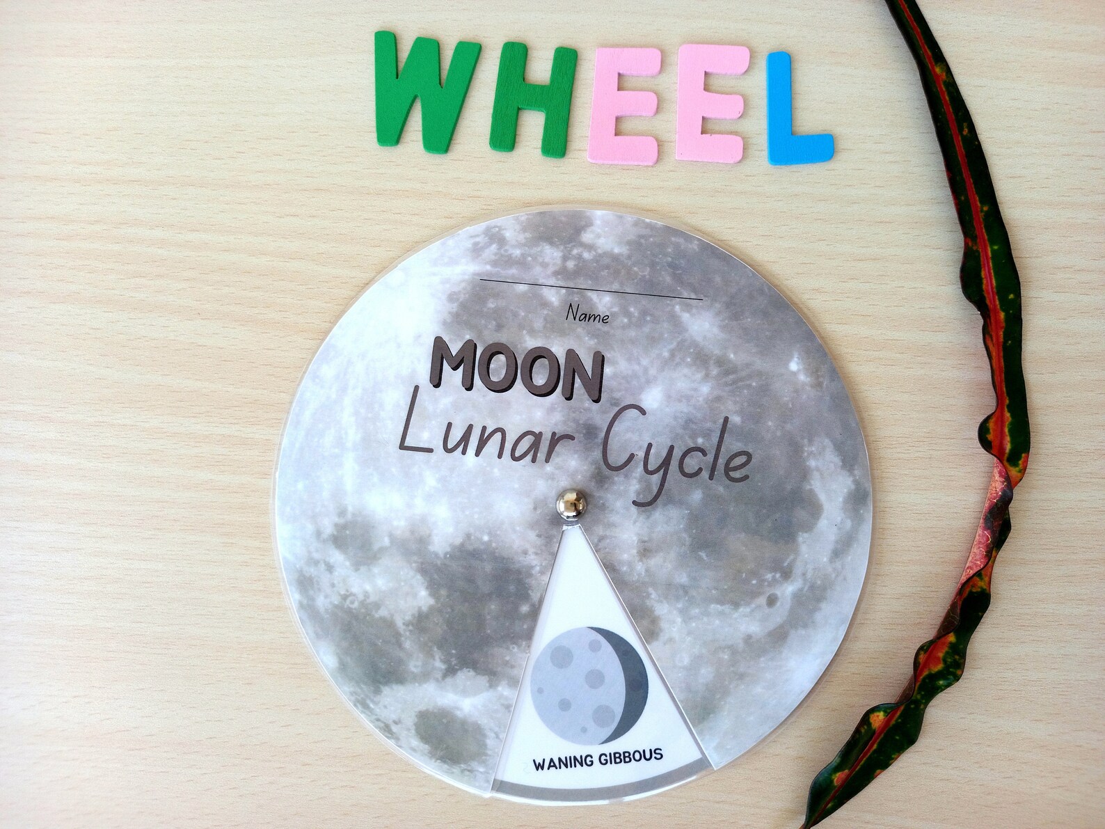 Solar System Wheel Moon Phases Wheel Space Activities - Etsy