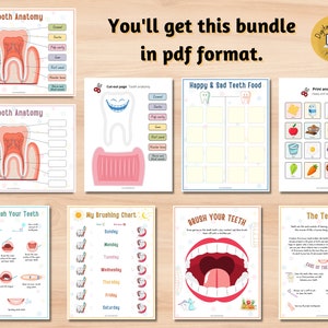 Dental Health and Anatomy Printable for Better Oral Hygiene | Preschool ...