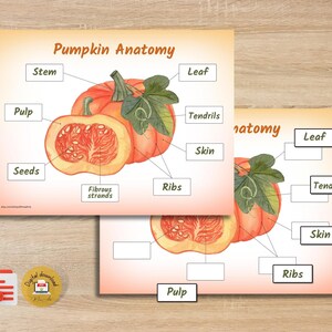 Engaging Pumpkin Unit Study for Kids #1 | PRINTABLE Homeschool ...