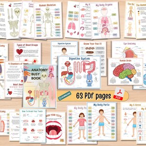 Human Anatomy Busy Book PRINTABLE Human Body Worksheets - Etsy
