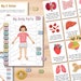 Buy Human Anatomy Busy Book PRINTABLE Human Body Worksheets | Preschool ...