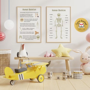 Human Skeleton Poster: an Exciting Journey Into the Human Skeleton for ...