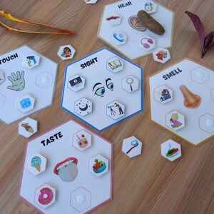 Five Senses Sorting Activity, Busy Bags for Kids, Matching Activity ...