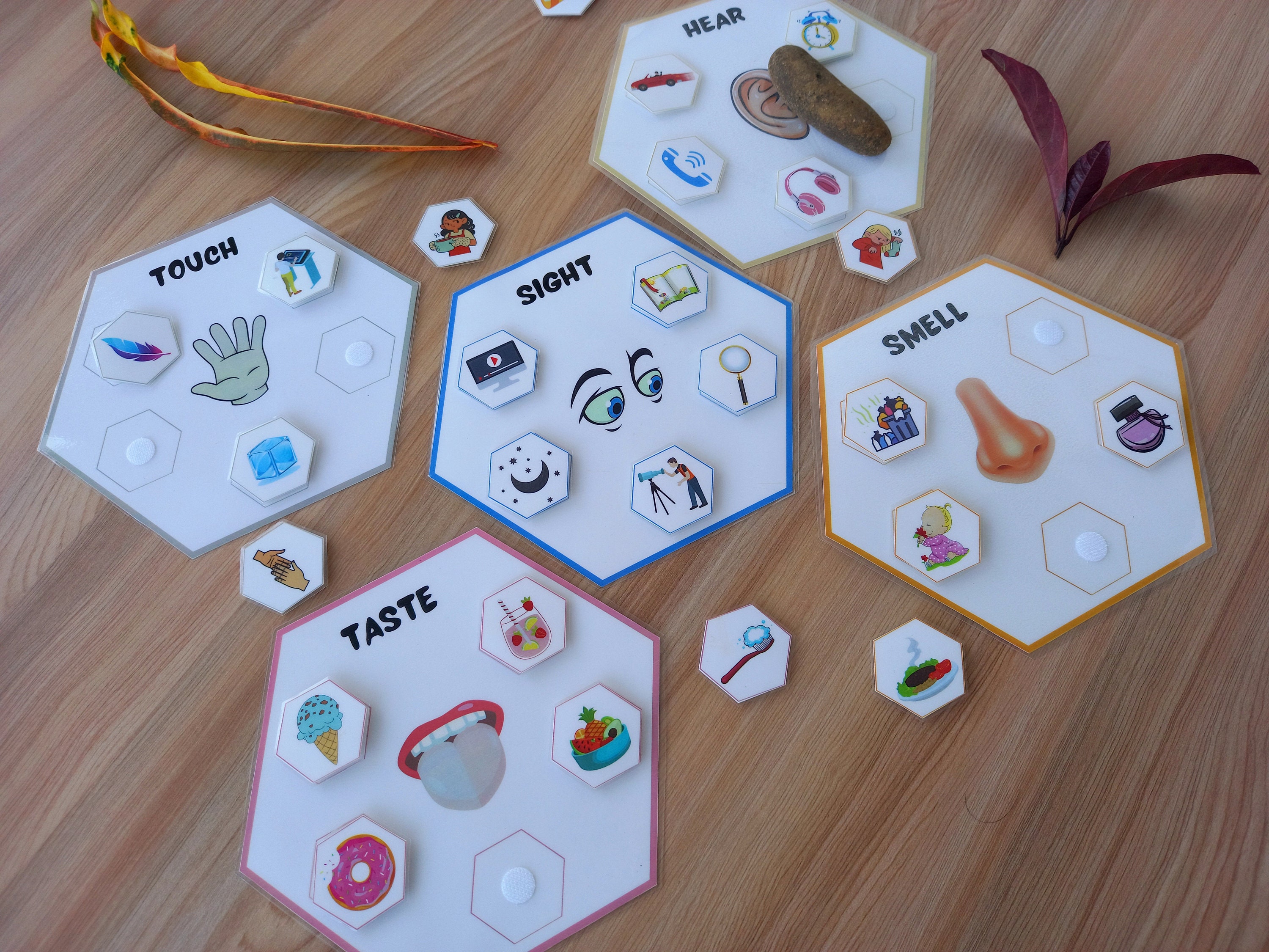 Five Senses Sorting Activity Busy Bags for Kids Matching - Etsy