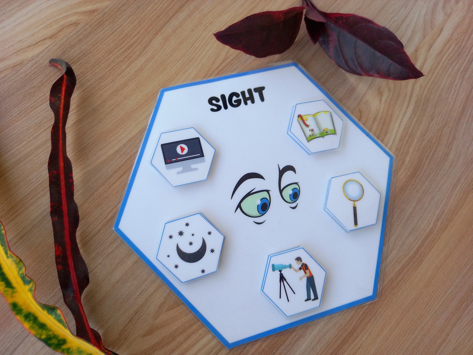 Five Senses Sorting Activity Busy Bags for Kids Matching - Etsy