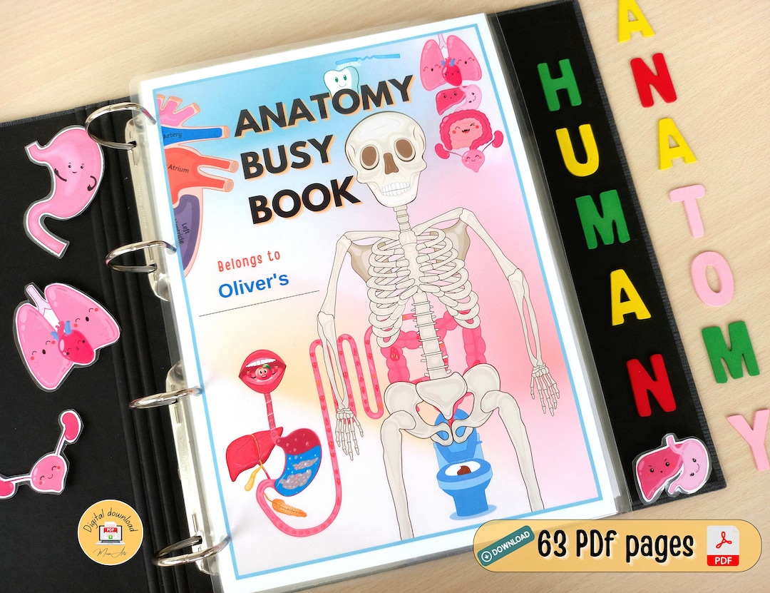 Human Anatomy Busy Book PRINTABLE Human Body Worksheets - Etsy