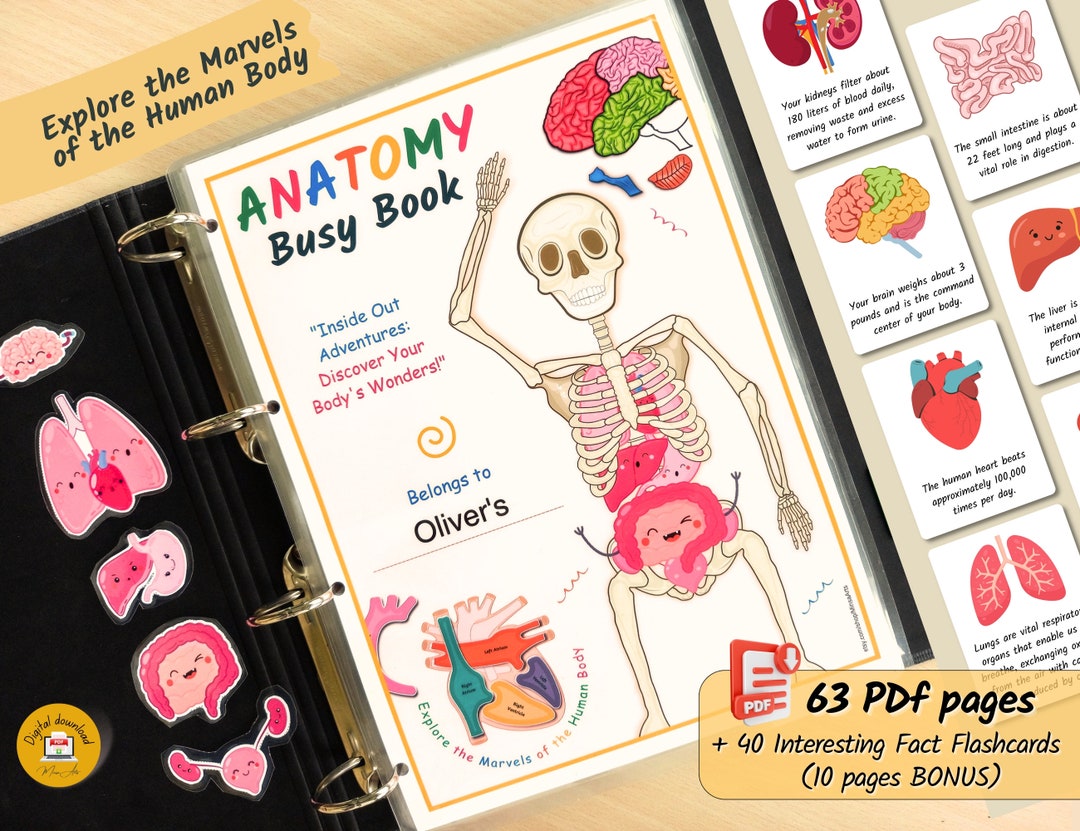 Human Anatomy Busy Book PRINTABLE Human Body Worksheets | Preschool ...