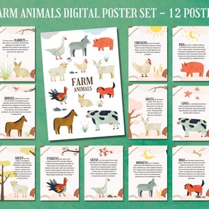 Farm Animals Poster Set Printable Classroom Posters - Etsy