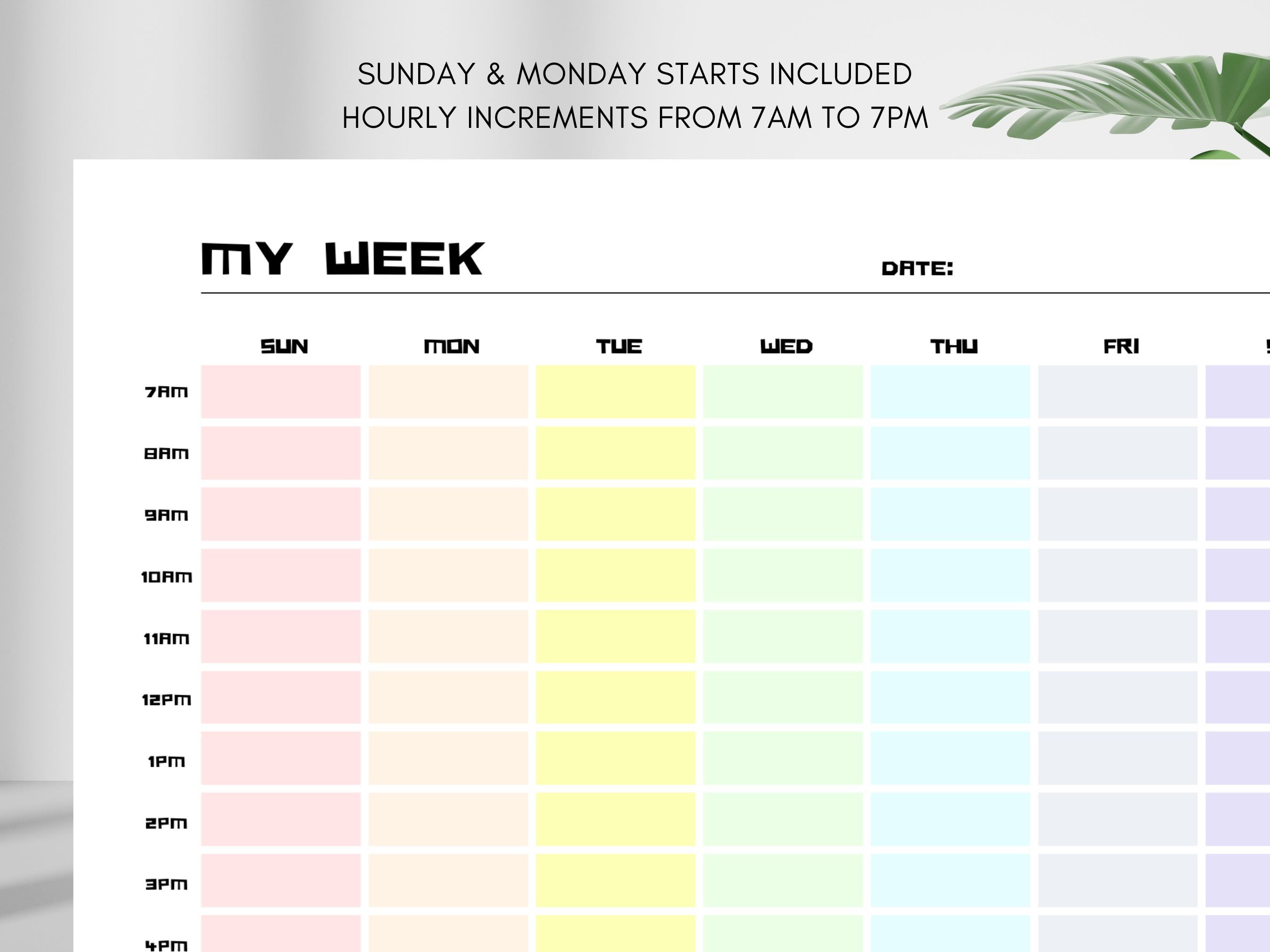 Rainbow Weekly Schedule Printable My Week Planner One Hour - Etsy