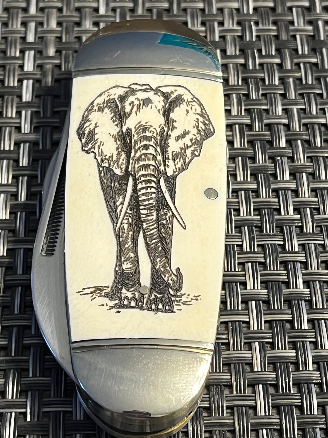 Elephant Engraved White Bone Pocket Knife/baby Sunfish Pocket Knife ...
