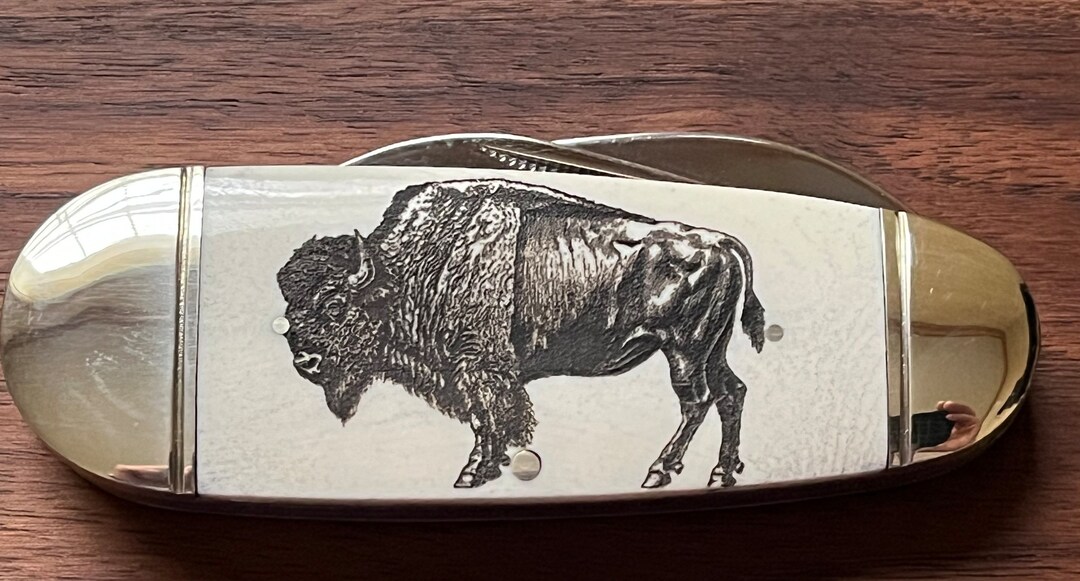 Bison/buffalo Engraved White Bone Pocket Knife/baby Sunfish Pocket ...