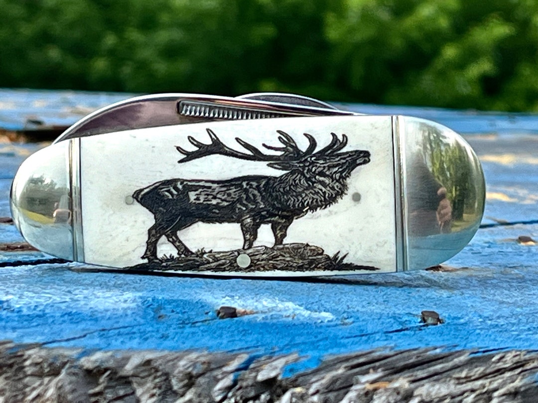 Elk Engraved White Pocket Knife/baby Sunfish Pocket Knife/ Elephant ...