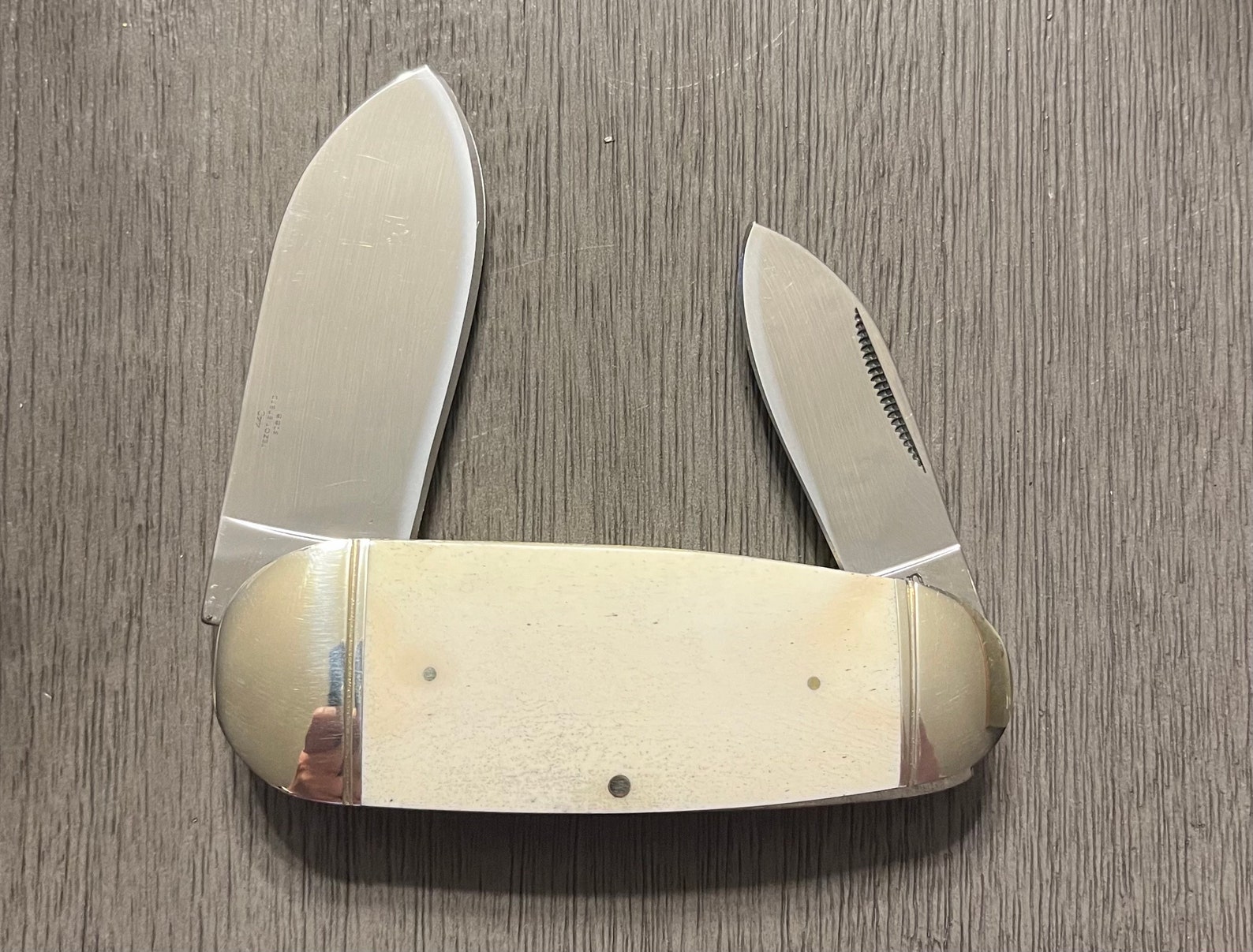 Octopus Engraved White Bone Pocket Knife/baby Sunfish Pocket Knife ...