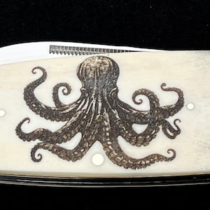 Octopus Engraved White Bone Pocket Knife/baby Sunfish Pocket Knife ...