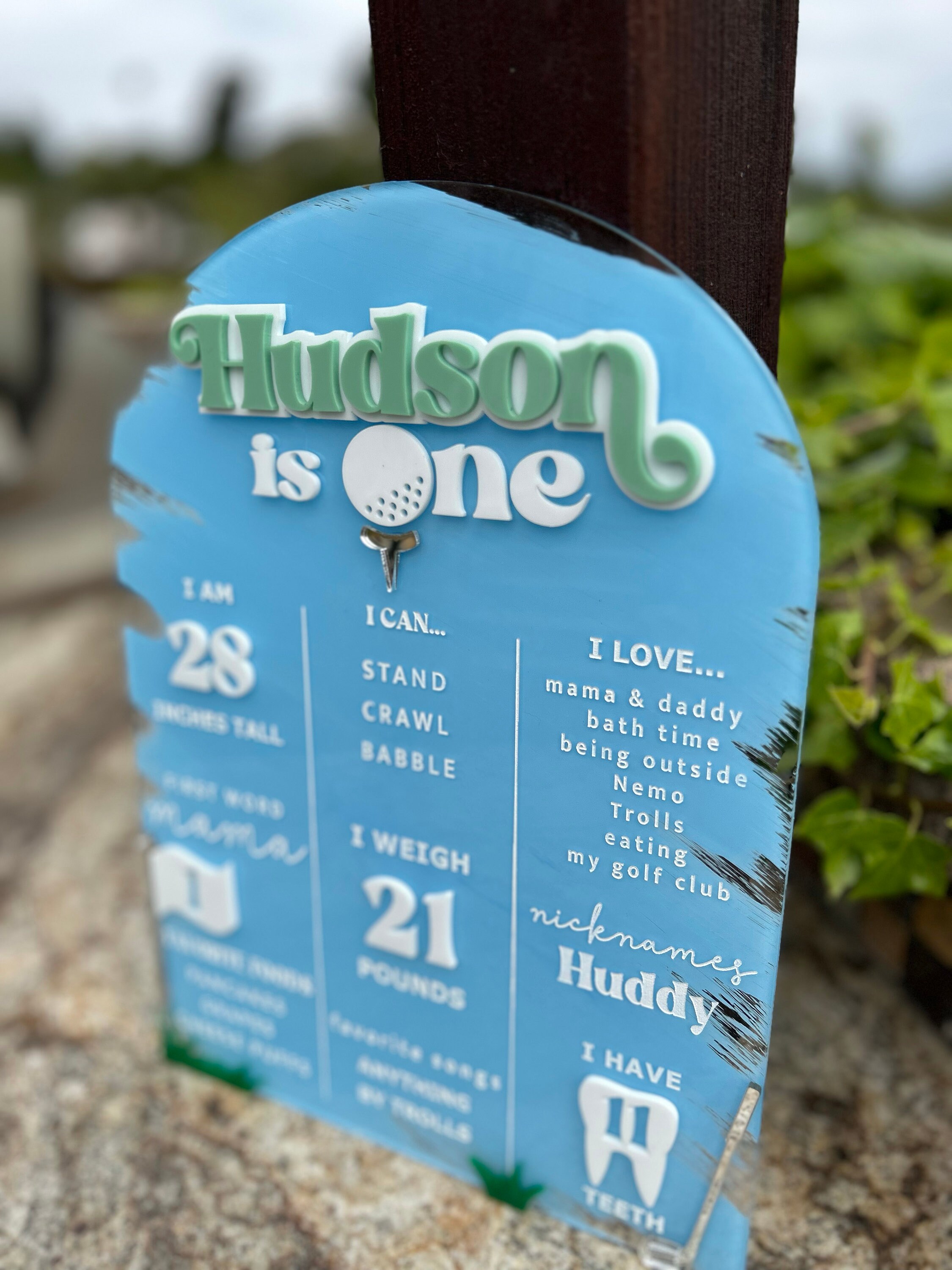 Hole in One First Birthday Milestone Acrylic Sign, First Birthday ...