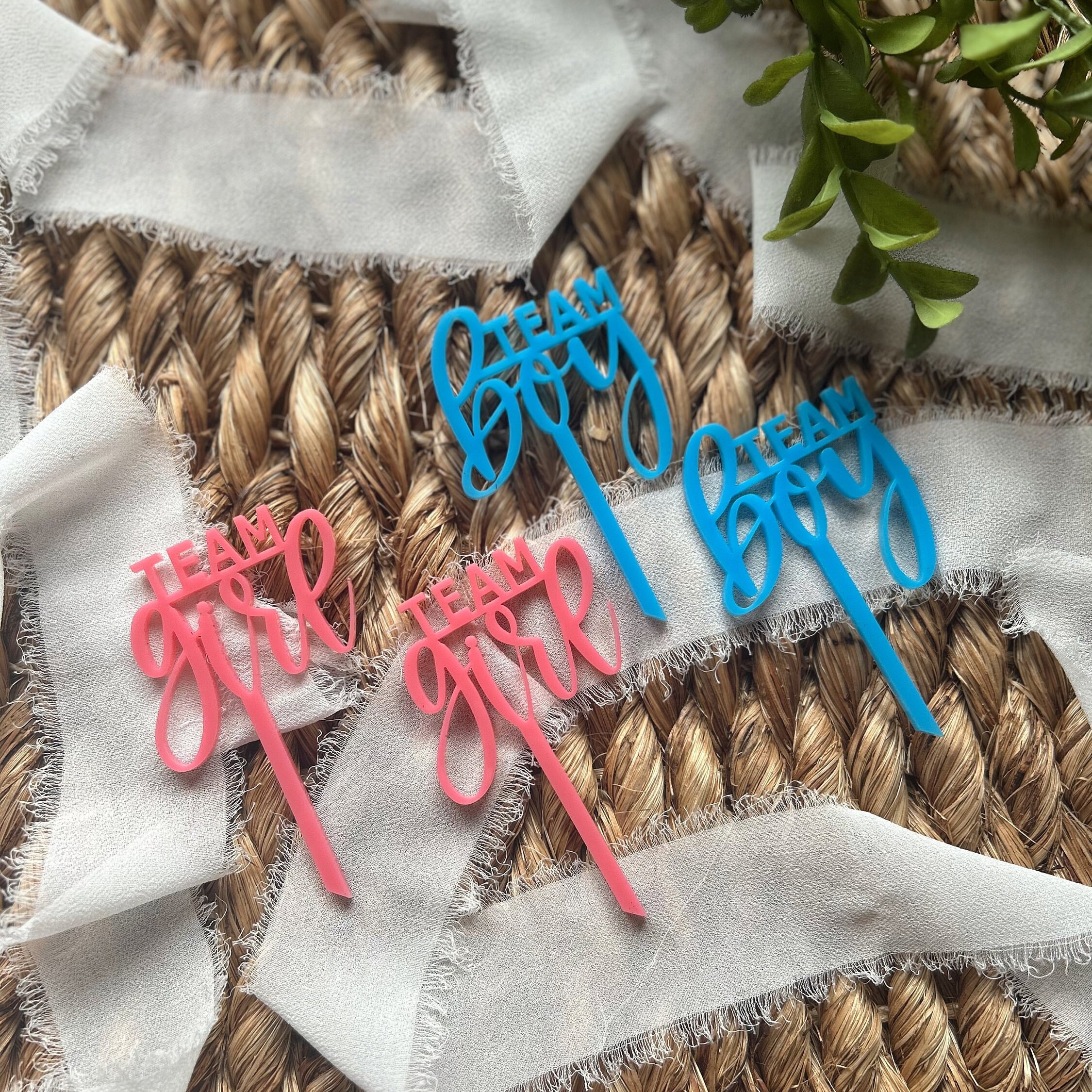 Gender Reveal Cupcake Toppers, Team Boy, Team Girl, Acrylic Cupcake ...