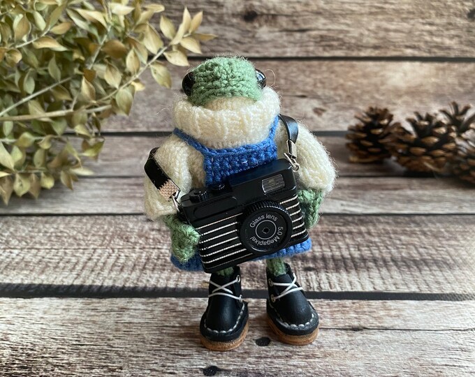 Handmade Photographer Frog 12 Cm and Photo Camera - Etsy
