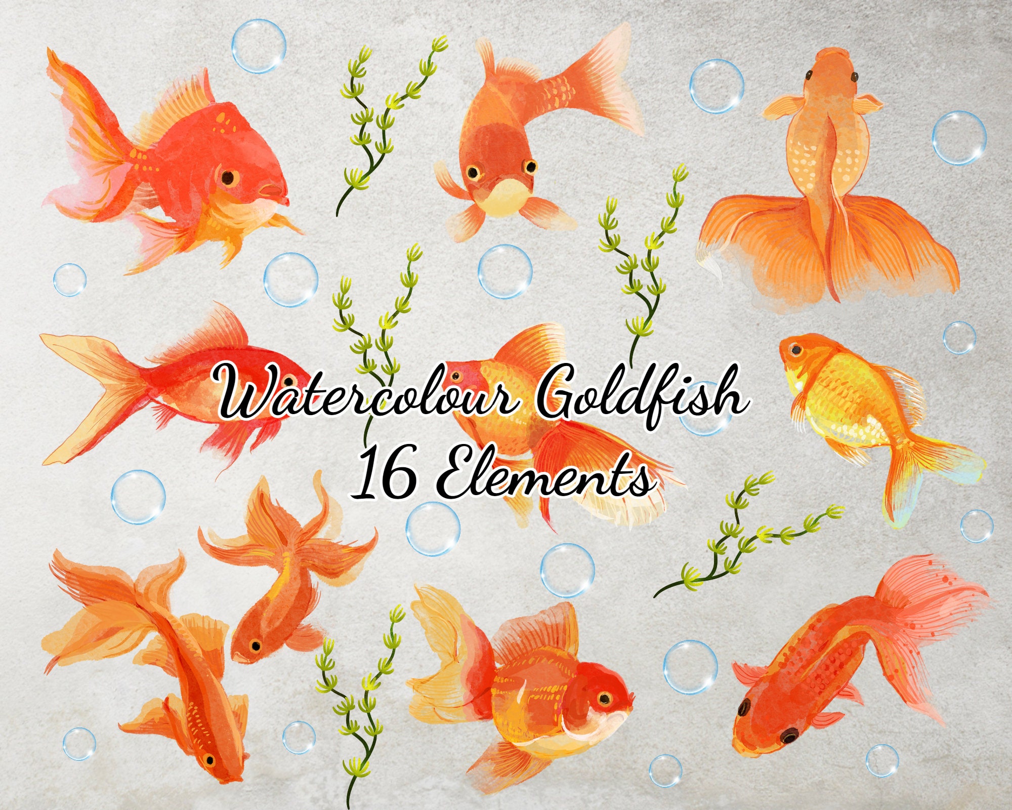 Goldfish Outline Clipart