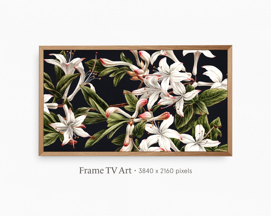 Frame TV Art | Vintage Azaleas Still Life Painting | Modern Minimal ...