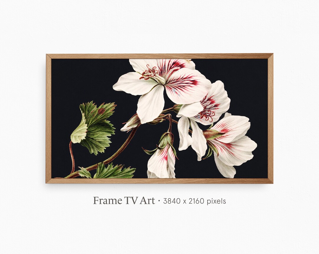 Frame TV Art | Vintage Azaleas Still Life Painting | Modern Minimal ...