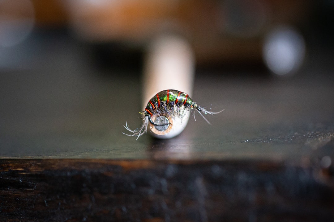 Flashback Scud Fly - Pack of 6 - Etsy