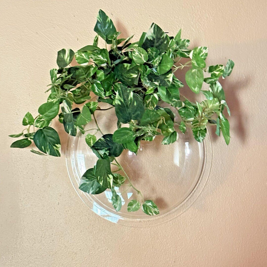 Vintage Clear Acrylic Wall Bubble Pocket for Plants, Vines, Scarves ...