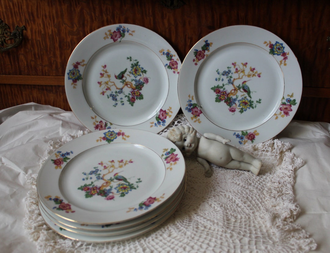 Vintage EPIAG DF Dallwitz Czechoslovakia Bird Floral Motif China "diana ...