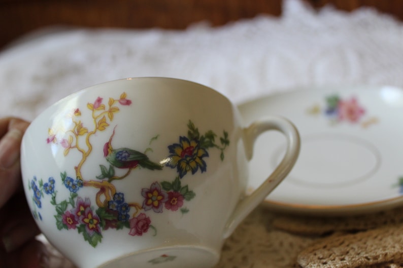 Vintage EPIAG DF Dallwitz Czechoslovakia Bird Floral Motif China diana ...