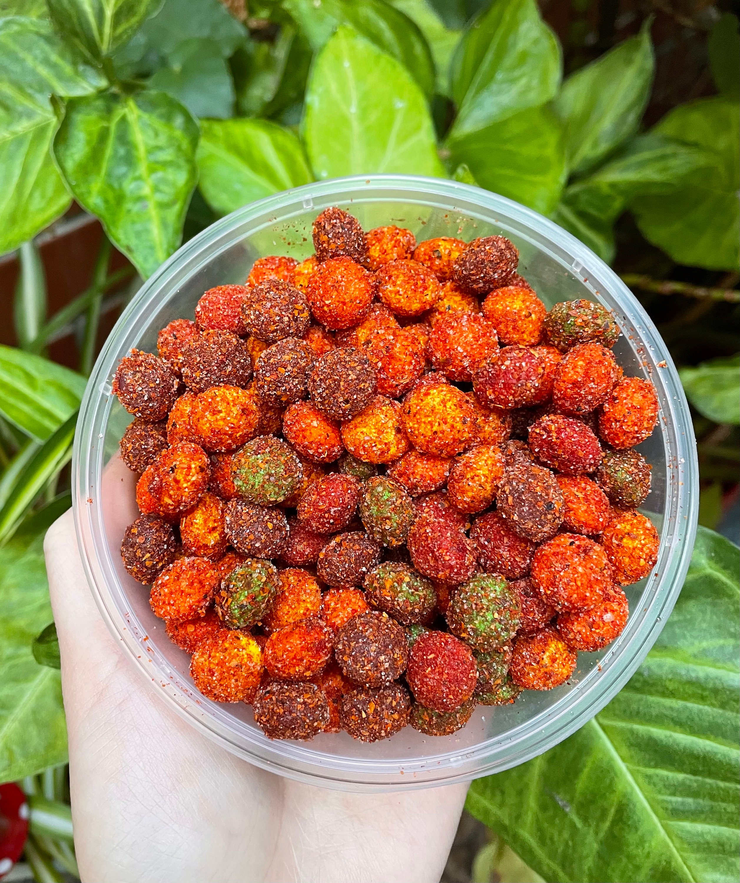 CHAMOY SKITTLES Spicy Mango Flavour 200g - Etsy Australia