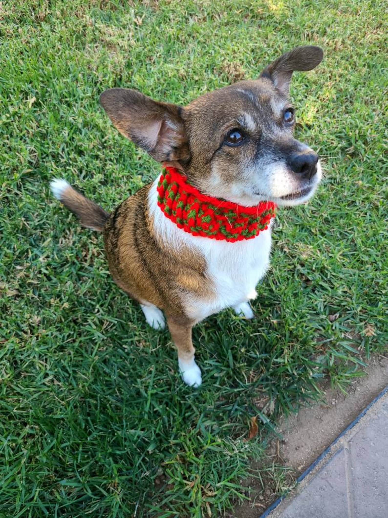 Christmas Dog Cat Snood Pet Neck Warmer Puppy Cozy Cowl - Etsy