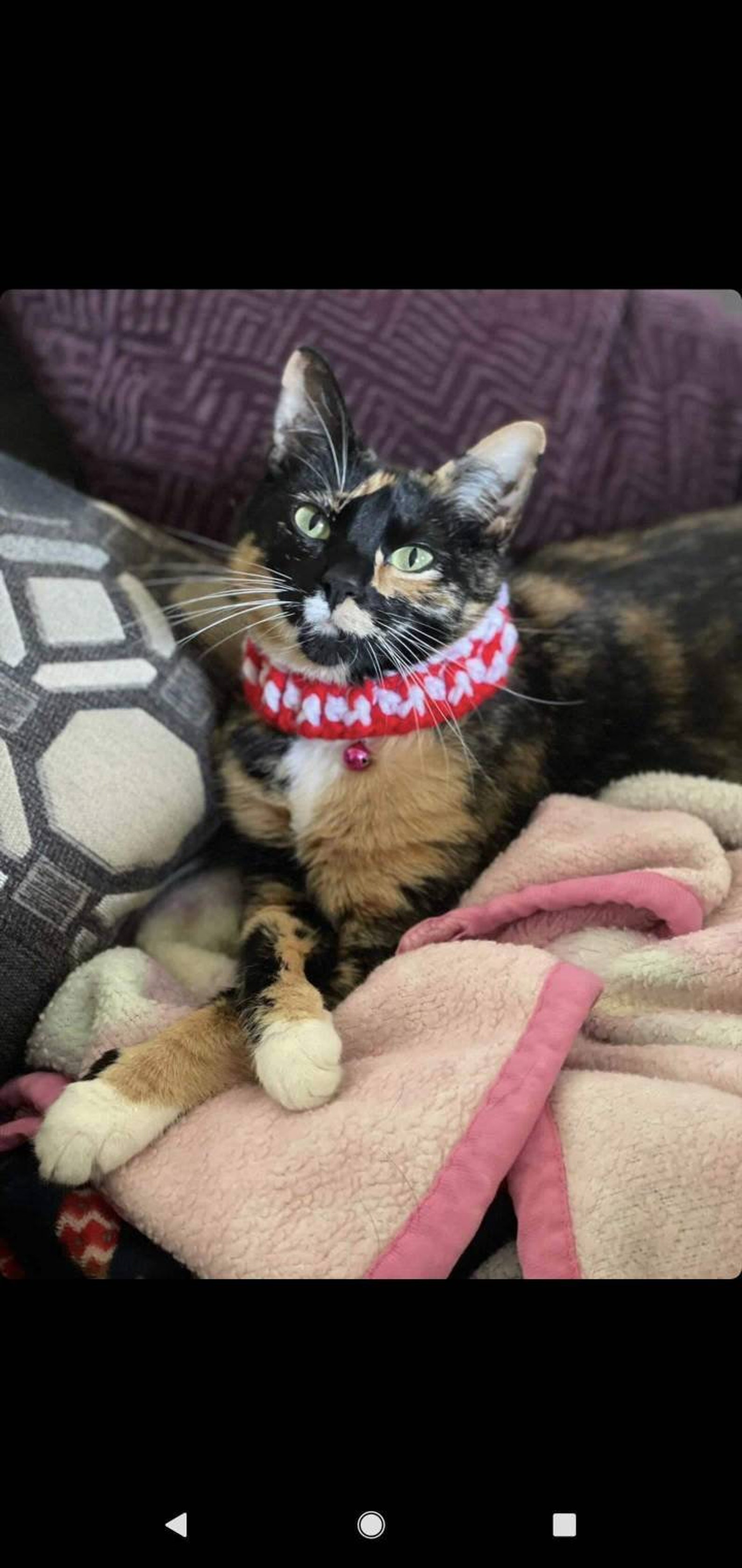 Christmas Dog Cat Snood Pet Neck Warmer Puppy Cozy Cowl - Etsy